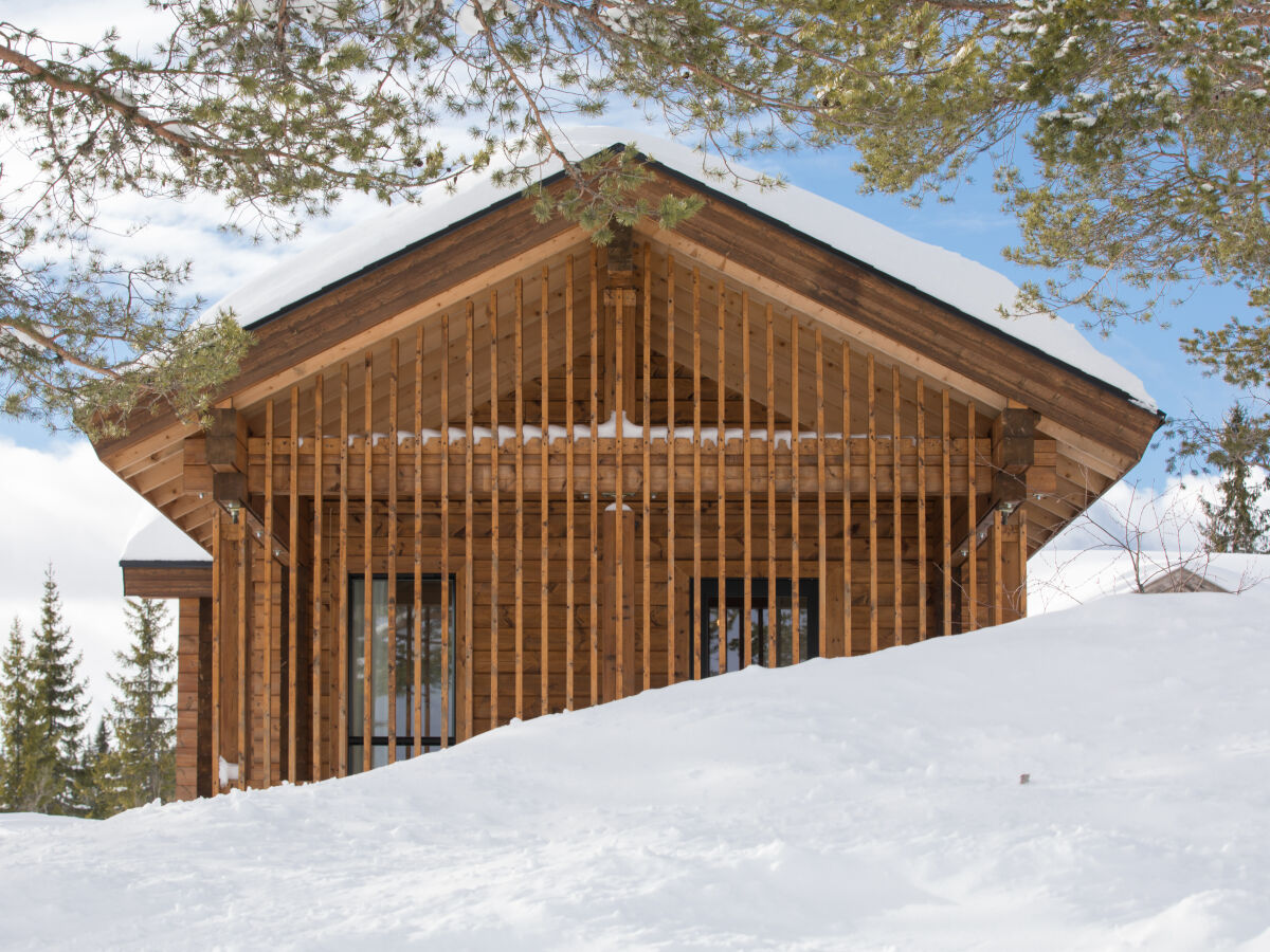 The Norwegian Dream of the Mountain Cabin / Kontio